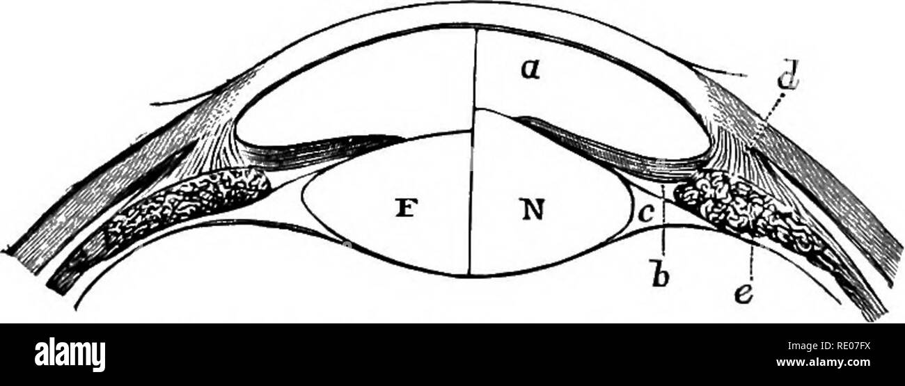 Helmholtz ophthalmoscope hi-res stock photography and images - Alamy