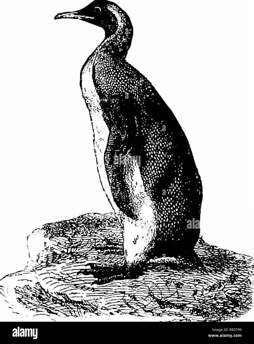 643 feet Cut Out Stock Images & Pictures - Alamy