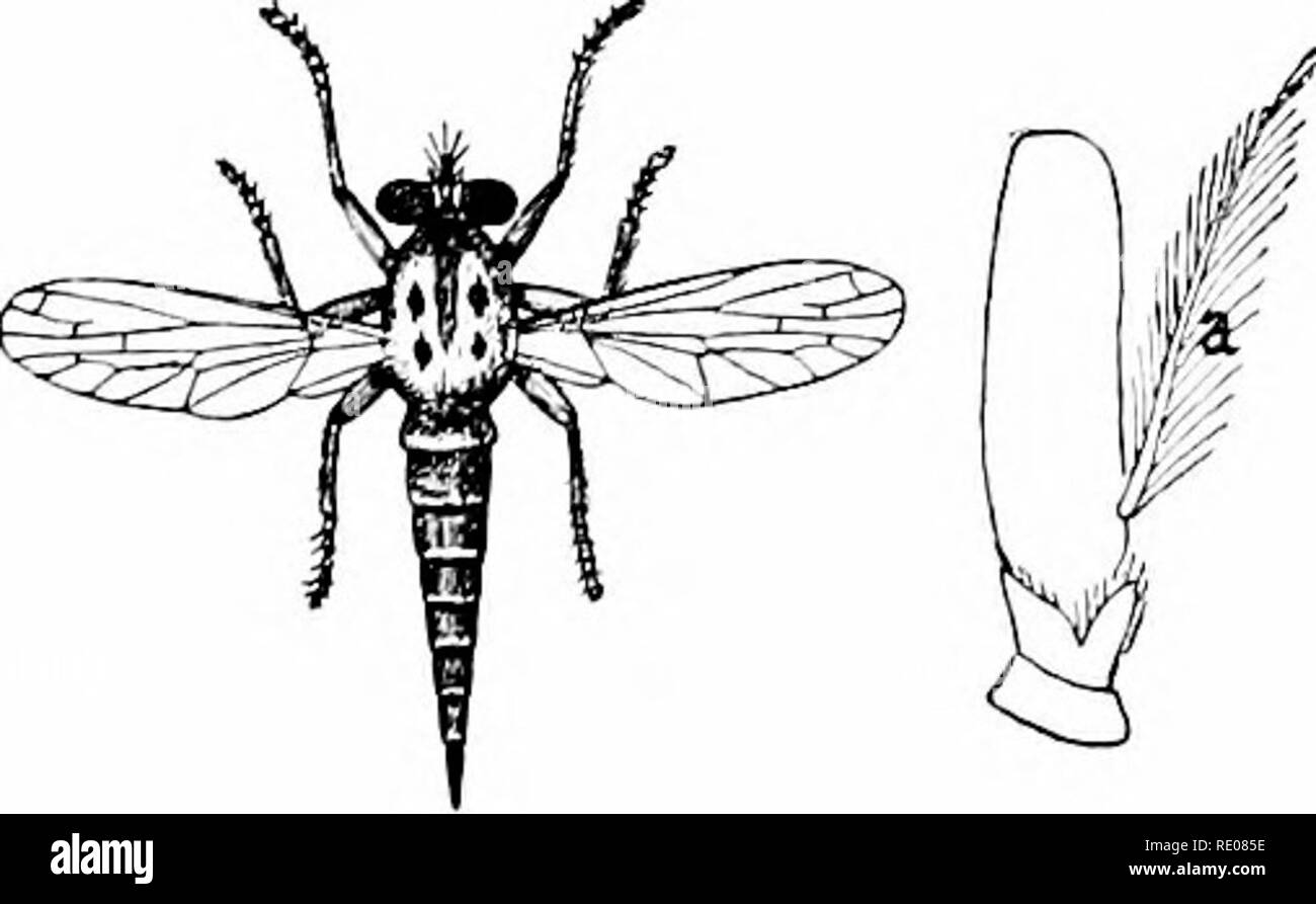 Families belong Cut Out Stock Images & Pictures - Alamy