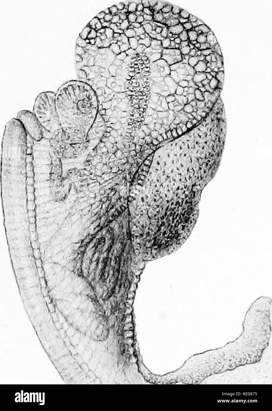 1844 1901 Black and White Stock Photos & Images - Alamy