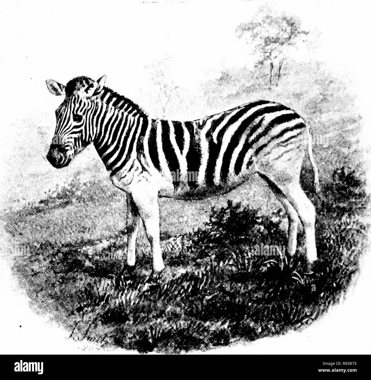 Strife vertical Black and White Stock Photos & Images - Alamy