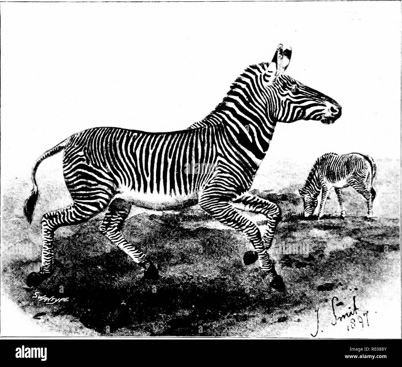 Innermost arch Black and White Stock Photos & Images - Alamy