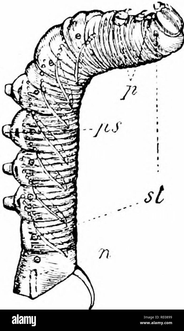 Apj Black and White Stock Photos & Images - Alamy