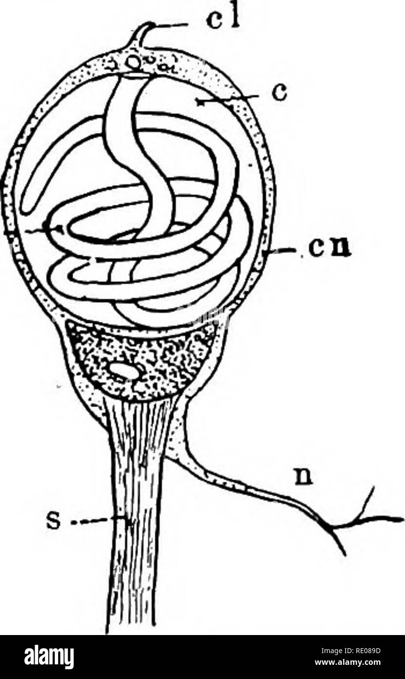 Consider bases Cut Out Stock Images & Pictures - Alamy