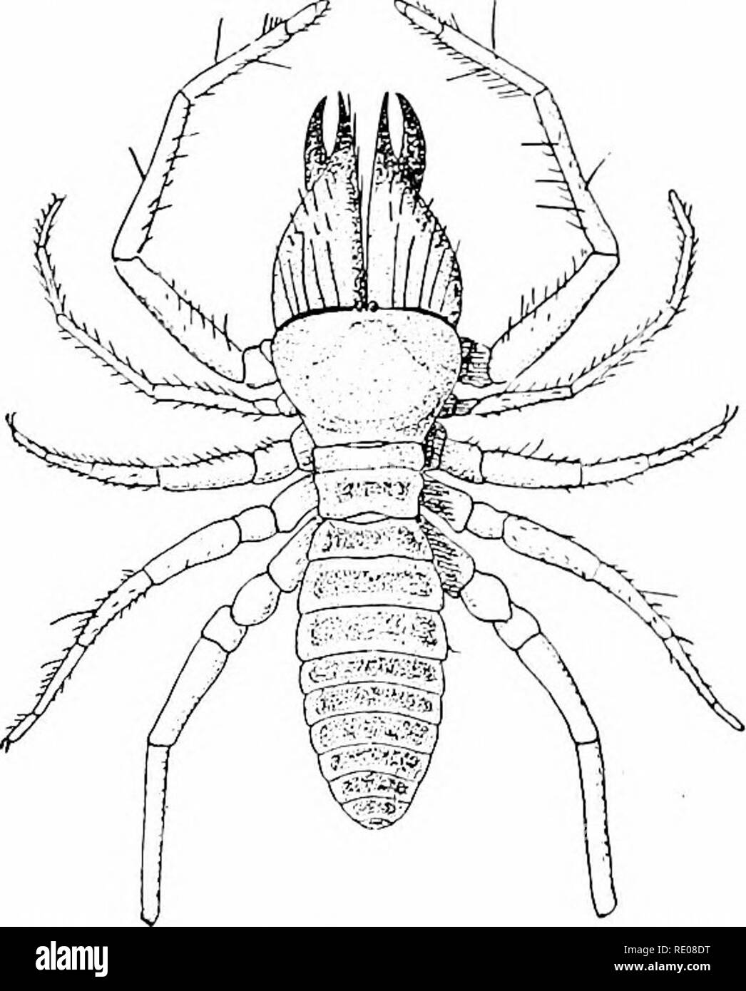 Niae Black and White Stock Photos & Images - Alamy