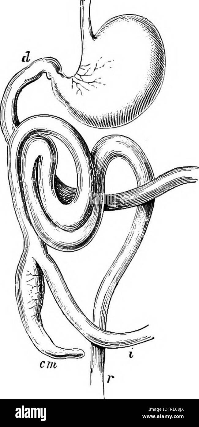 Terminal lunar Cut Out Stock Images & Pictures - Alamy