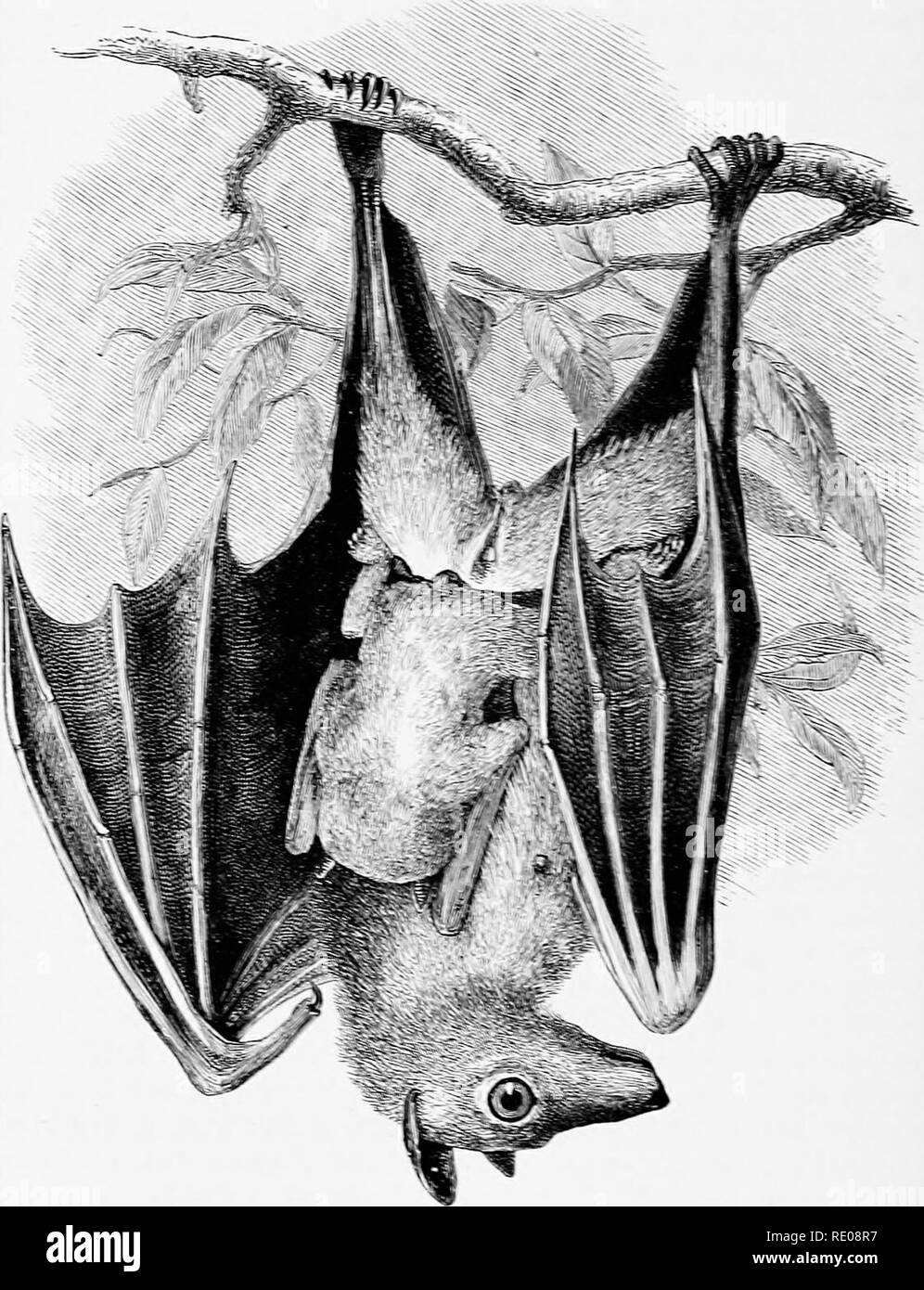 Isro female hi-res stock photography and images - Alamy