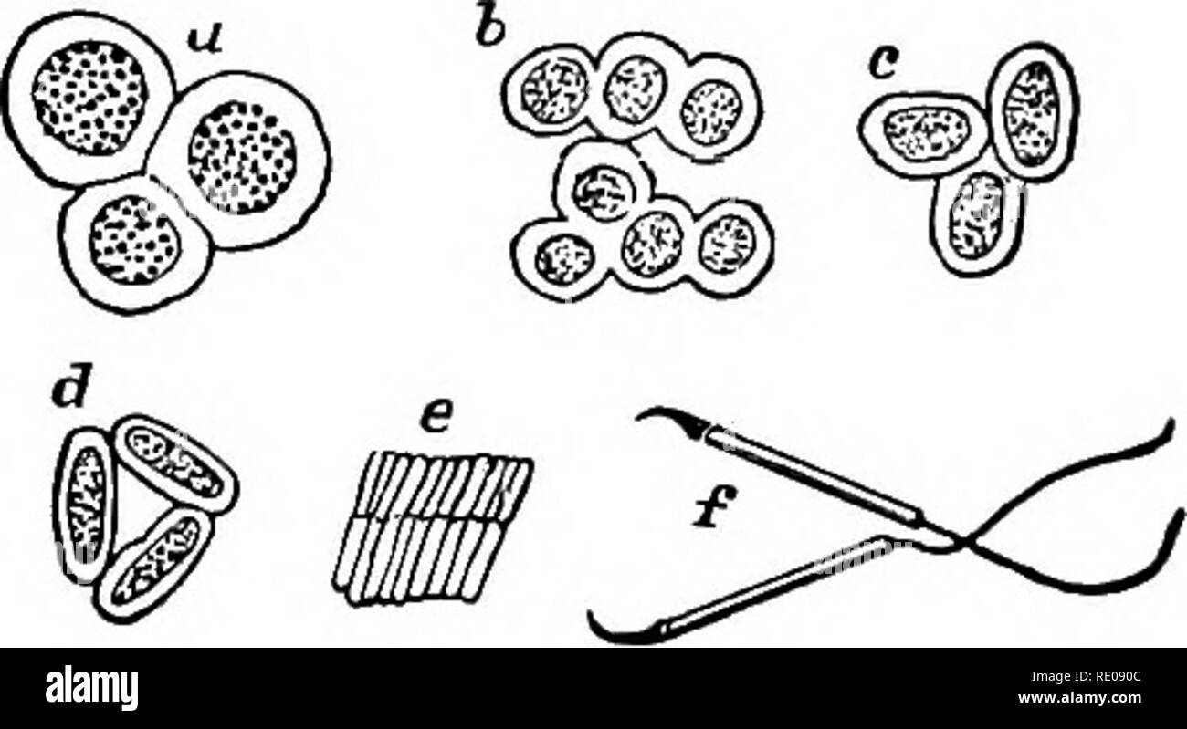 . Zoology for high schools and colleges. Zoology. 044 ZOOLOQT. of ...
