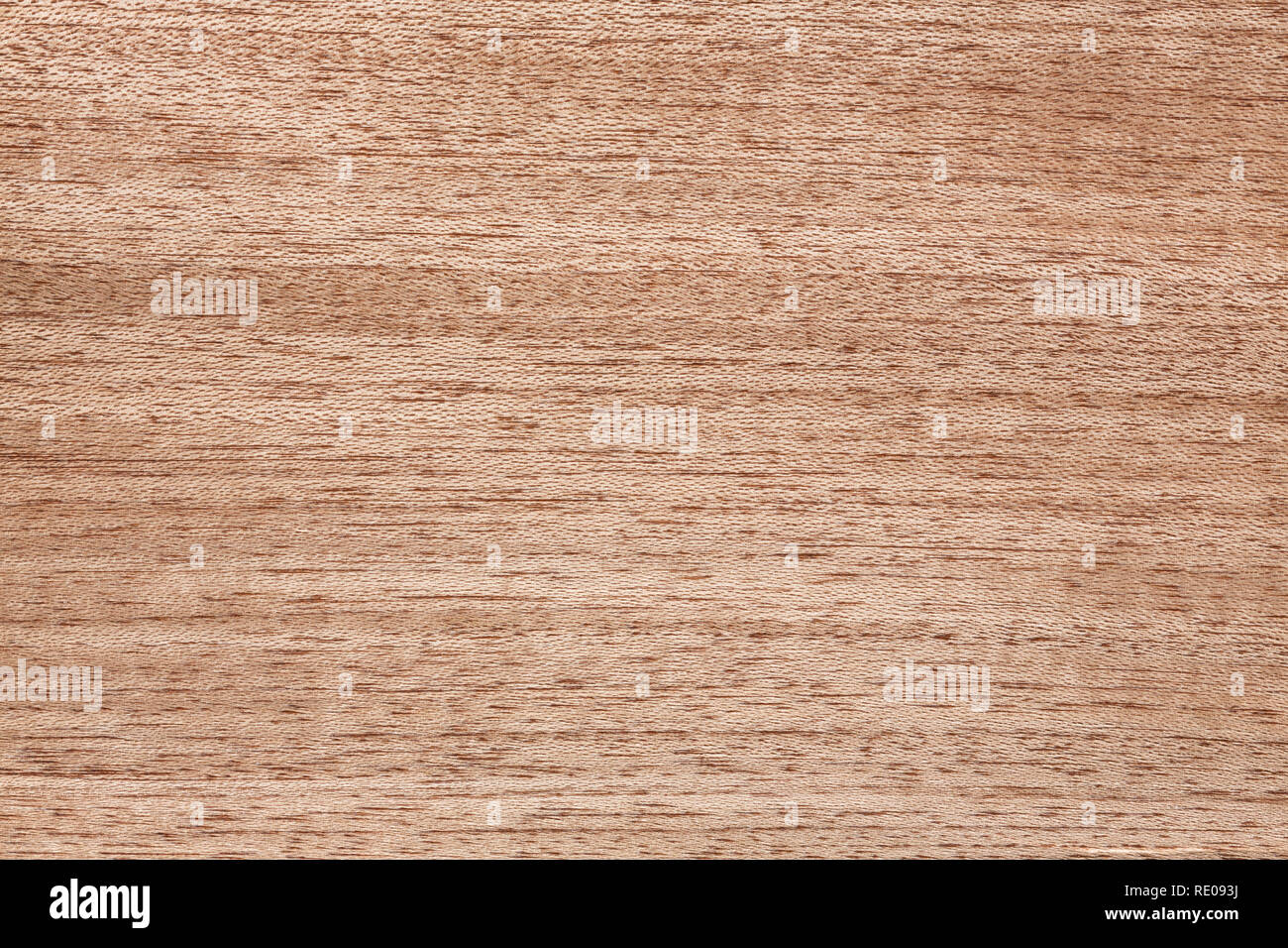 Delicate venner background in adorable beige tone Stock Photo - Alamy