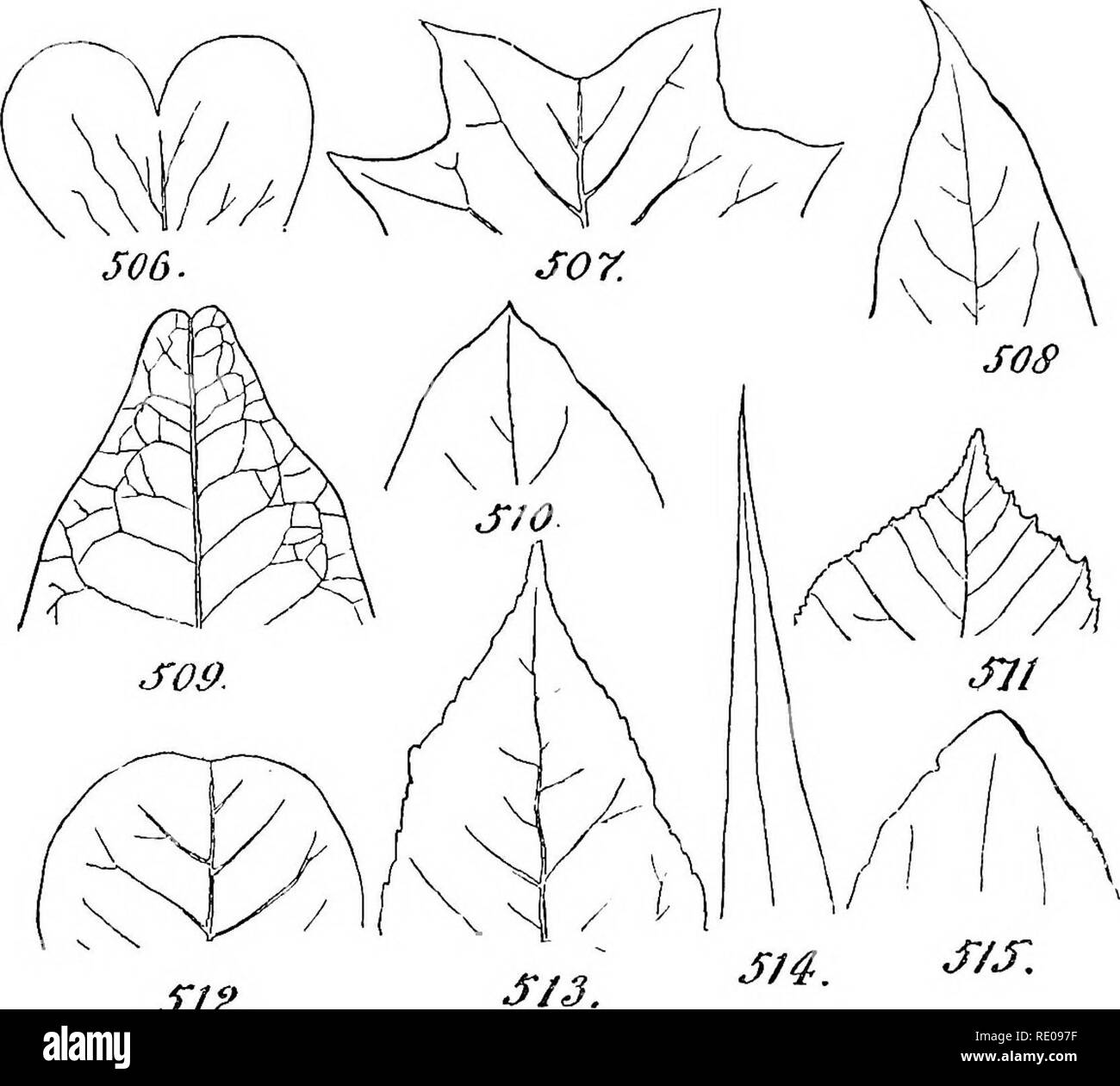 Number 506 Black and White Stock Photos & Images - Alamy