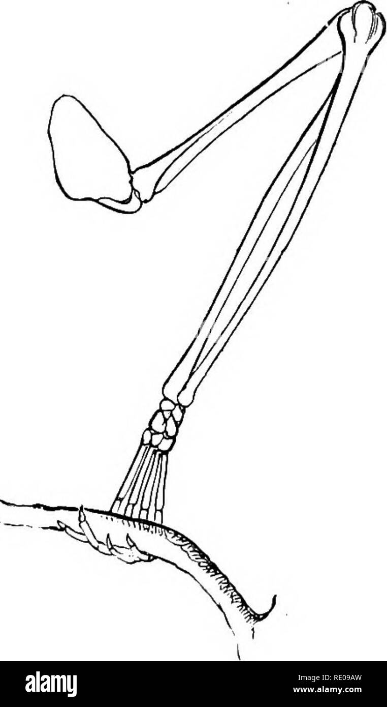 560 feet Black and White Stock Photos & Images - Alamy