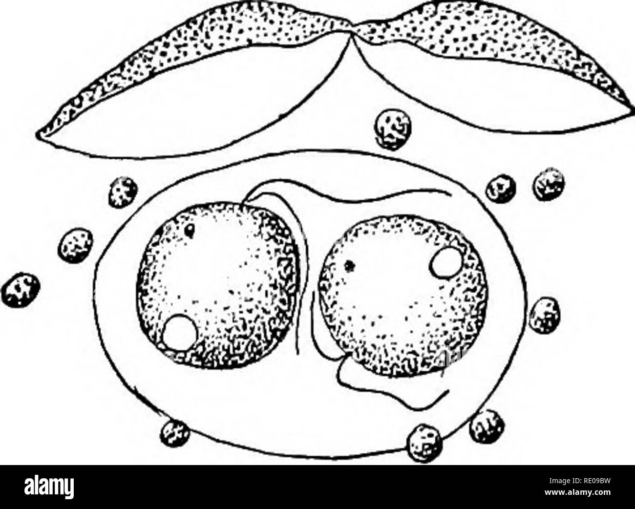 Furrow furrows Black and White Stock Photos & Images - Alamy