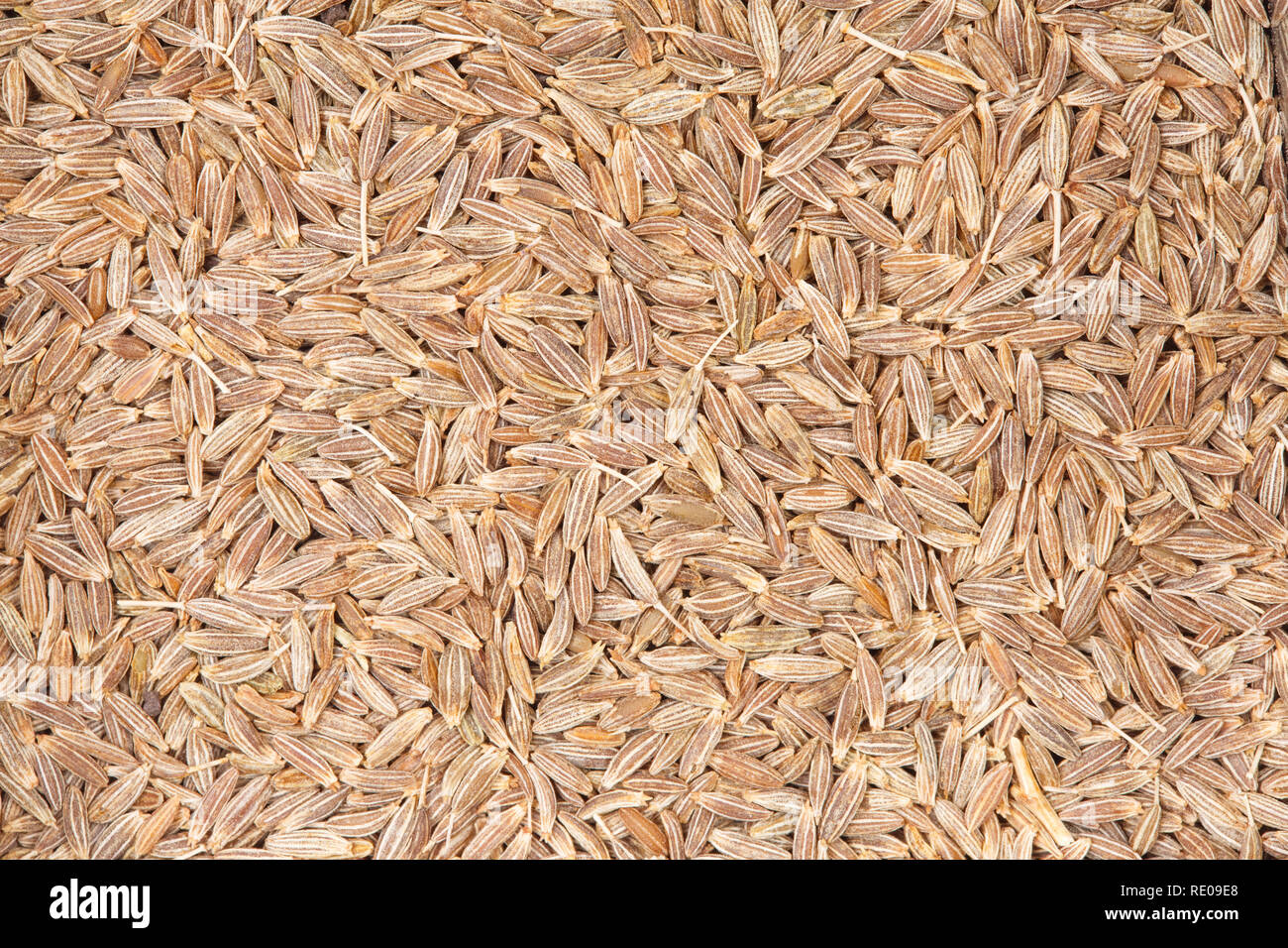 Cumin seeds texture, full frame background. Most popular spice in the ...