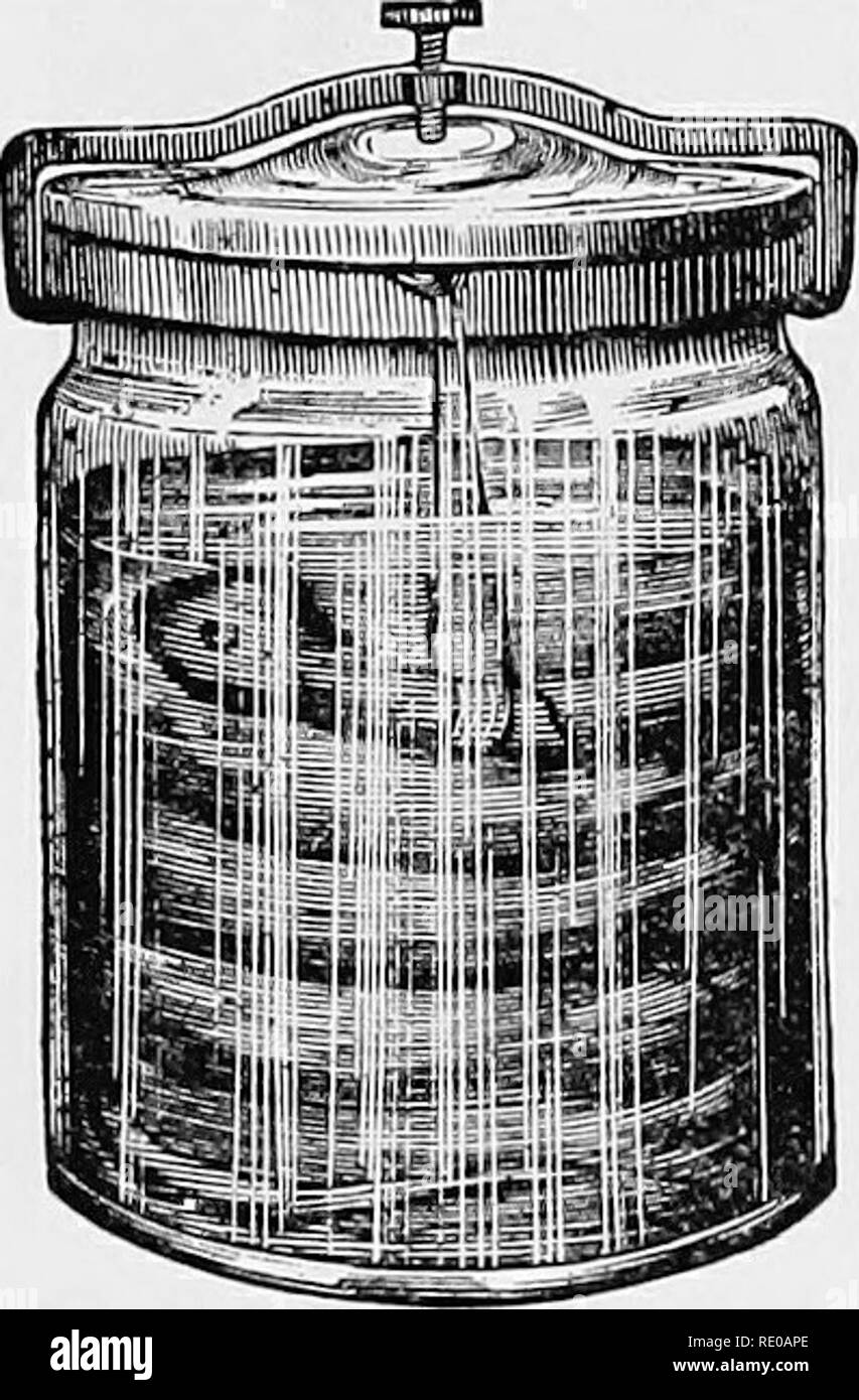 Anatomical specimen human Black and White Stock Photos & Images - Alamy