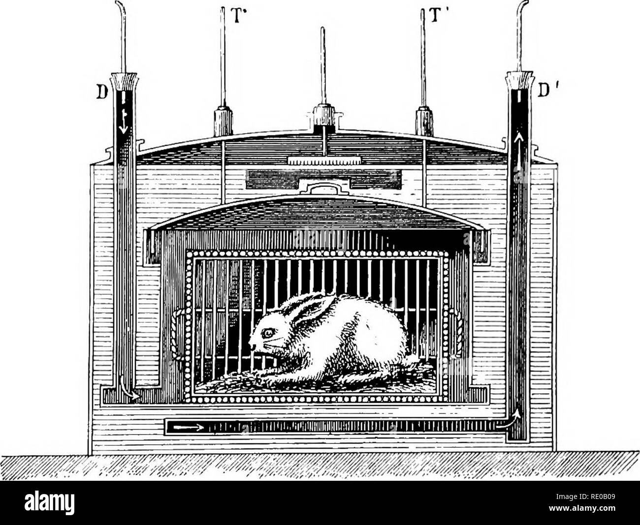 Rosenthal method hi-res stock photography and images - Alamy