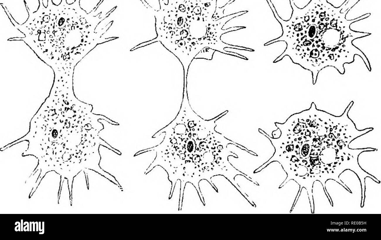 Cell creeps hi-res stock photography and images - Alamy