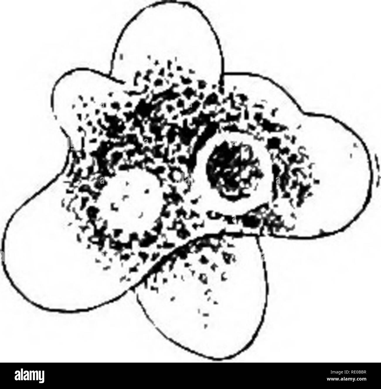 Life Science Cells Coloring Pages