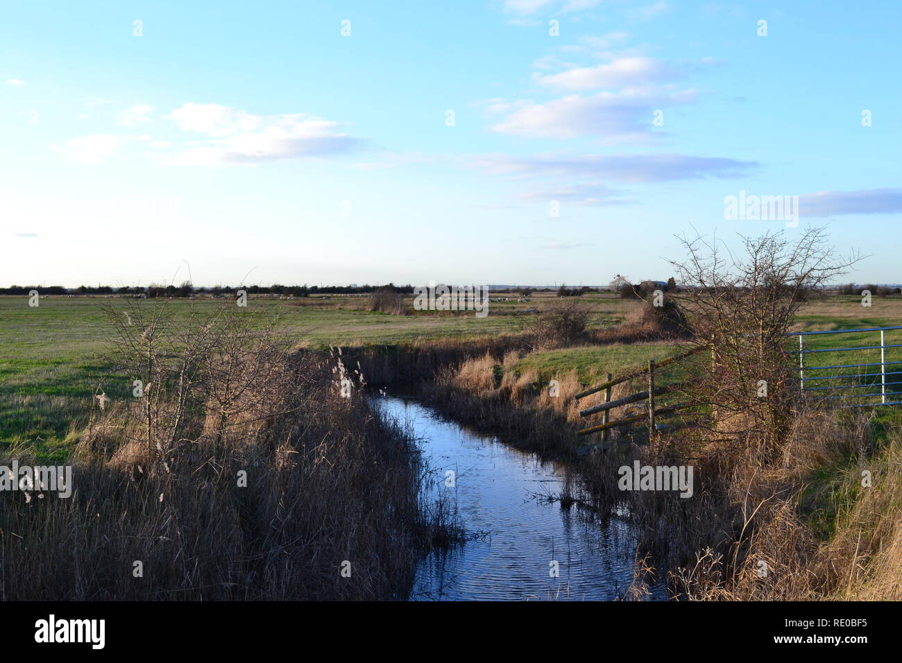 Thames Marshes Stock Photos & Thames Marshes Stock Images - Alamy
