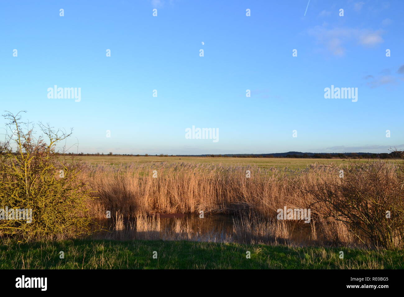Cliffe Kent Estuary Stock Photos & Cliffe Kent Estuary Stock Images - Alamy