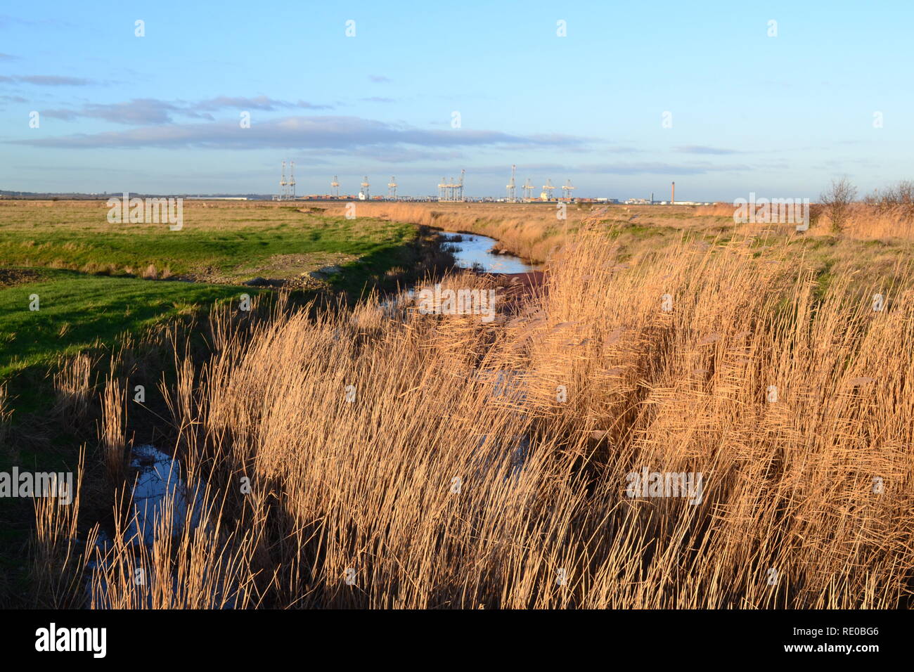 Kent winter gravesend cliffe pools hi-res stock photography and images ...