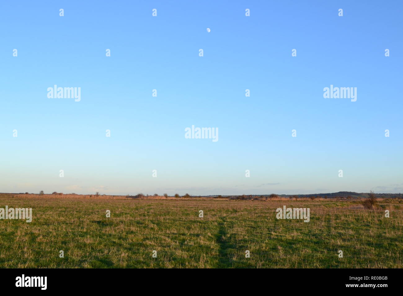 Cliffe marshes hi-res stock photography and images - Alamy