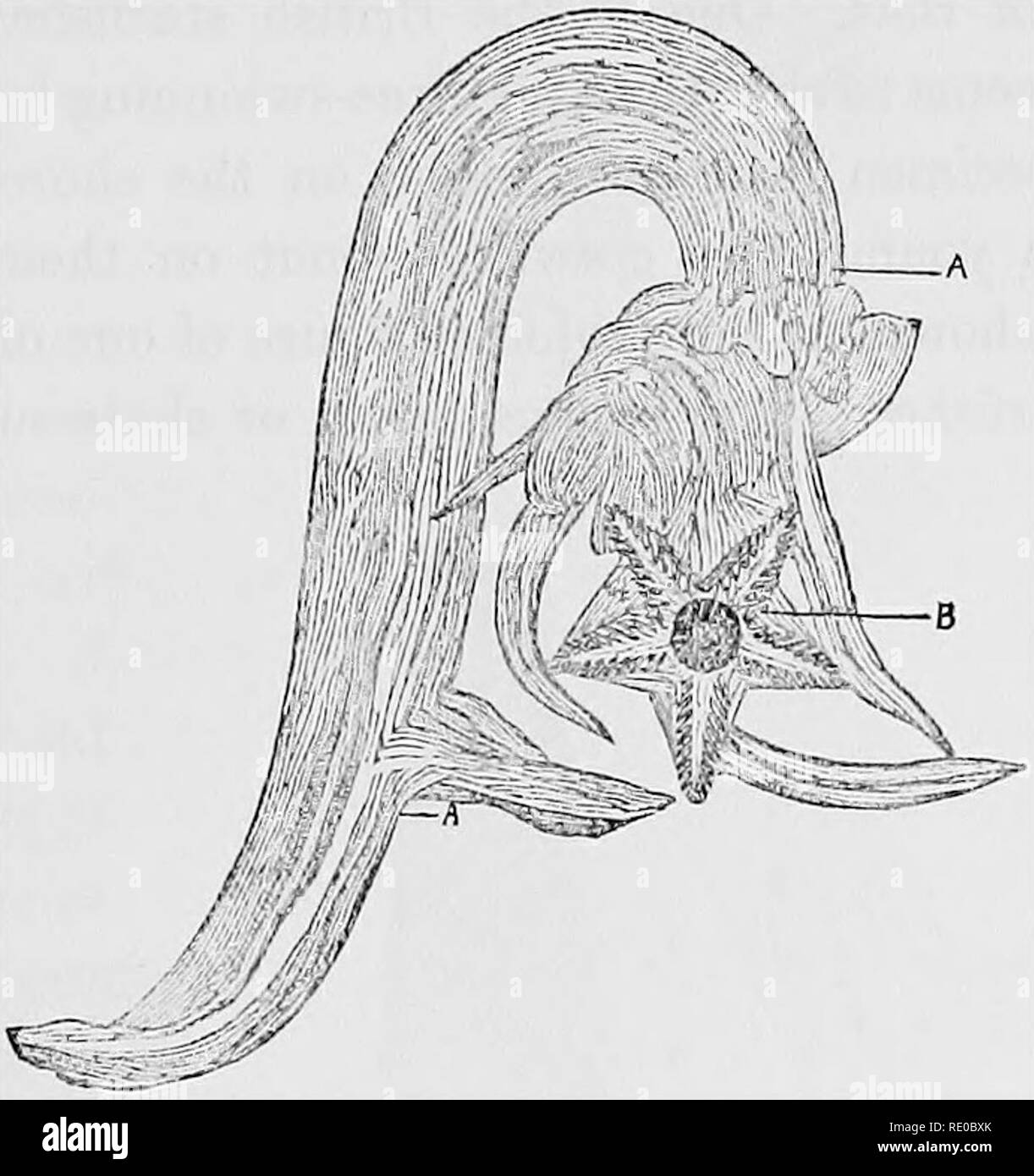 . The wonder of life. Biology; Natural history; Zoology. THE HAUNTS OF ...