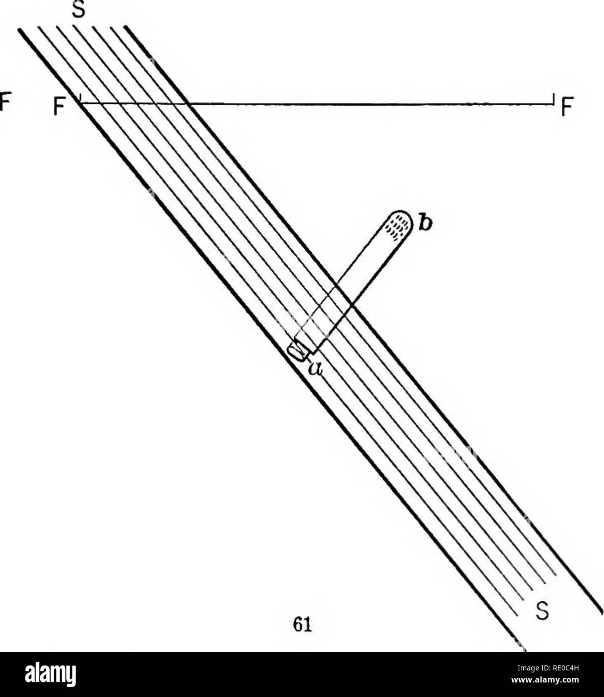 Two test tubes Cut Out Stock Images & Pictures - Alamy