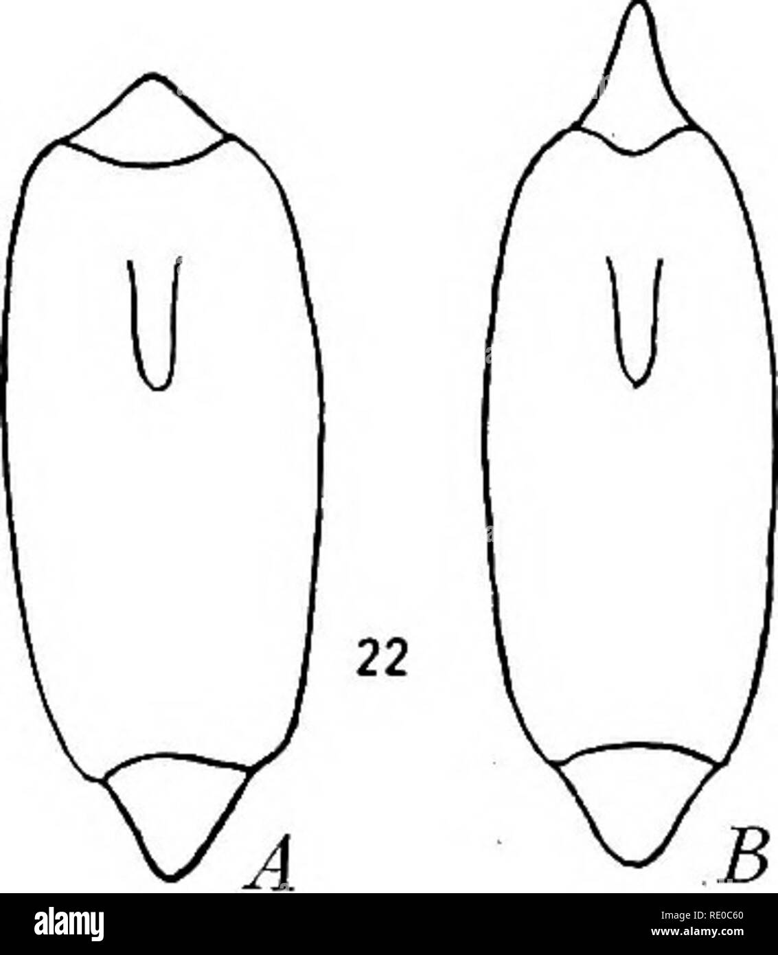 Vari able Black and White Stock Photos & Images - Alamy