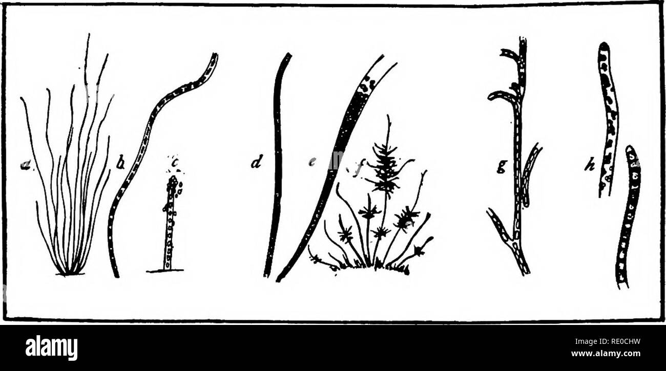 Inland water masses Black and White Stock Photos & Images - Alamy