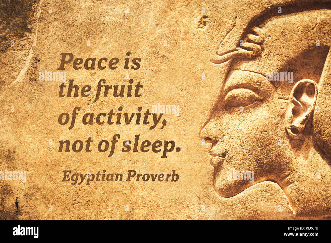 Peace is the fruit of activity - ancient Egyptian Proverb citation ...