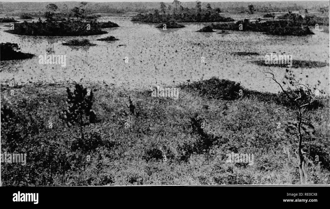 Intersecting rivers Black and White Stock Photos & Images - Alamy