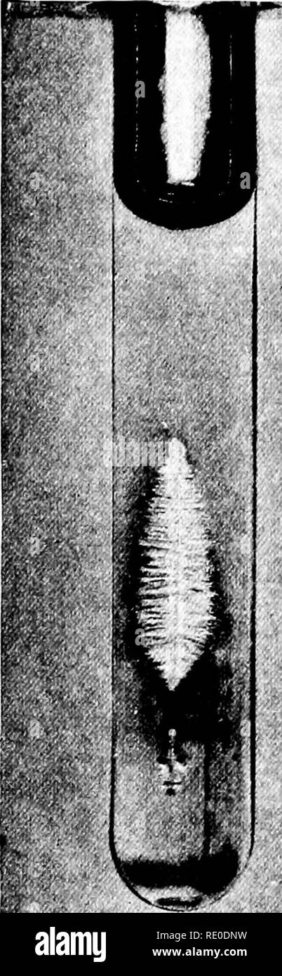 Putrefactive bacteria hi-res stock photography and images - Alamy