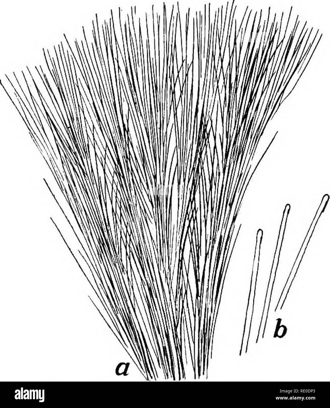 . Bacteriological methods in food and drugs laboratories : with an ...