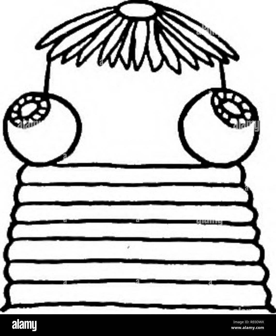 Parasite Prevention Coloring Pages