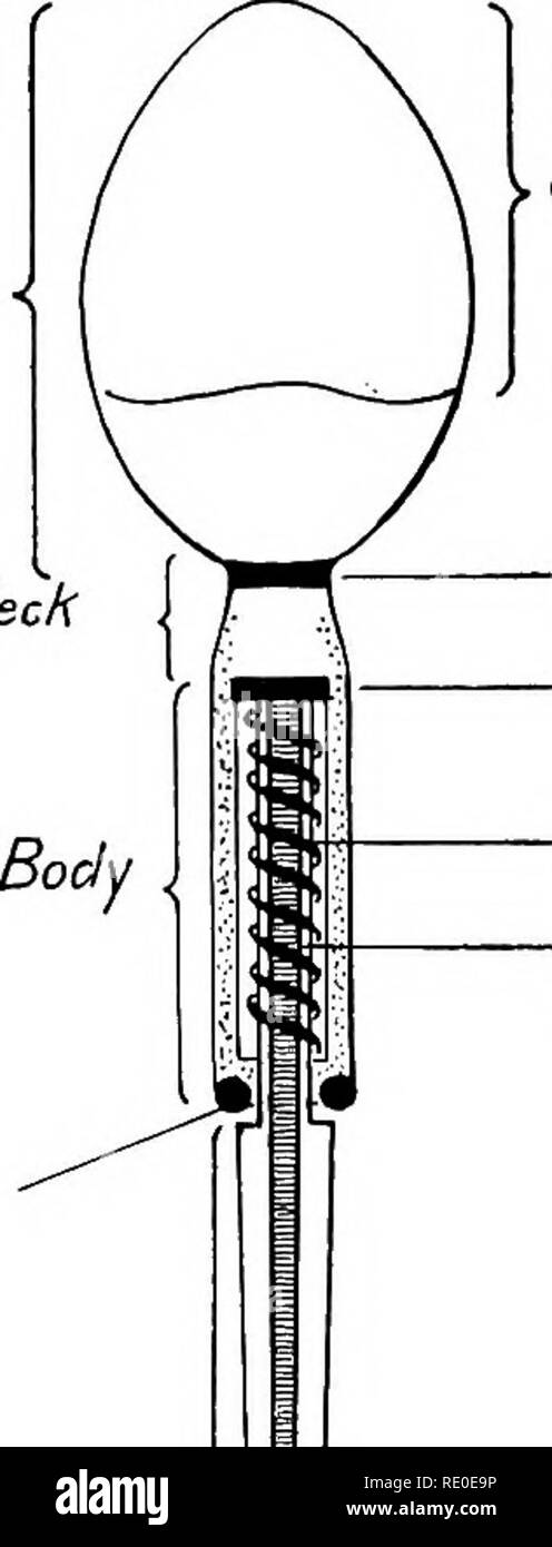 Ovulation follicle Black and White Stock Photos & Images - Alamy