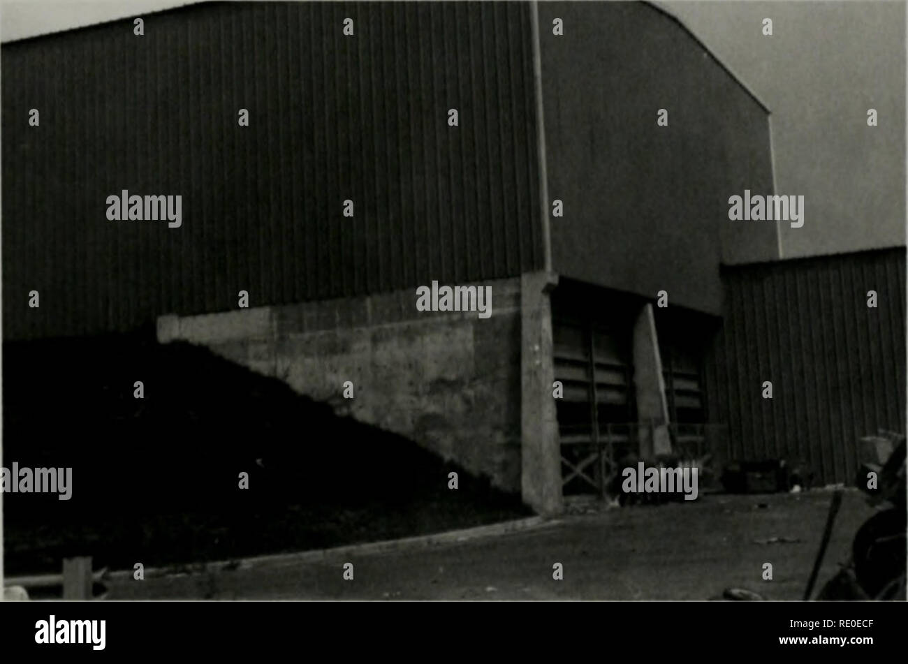 Cone trap hi-res stock photography and images - Alamy