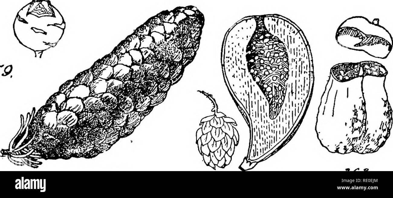 Loment Black and White Stock Photos & Images - Alamy