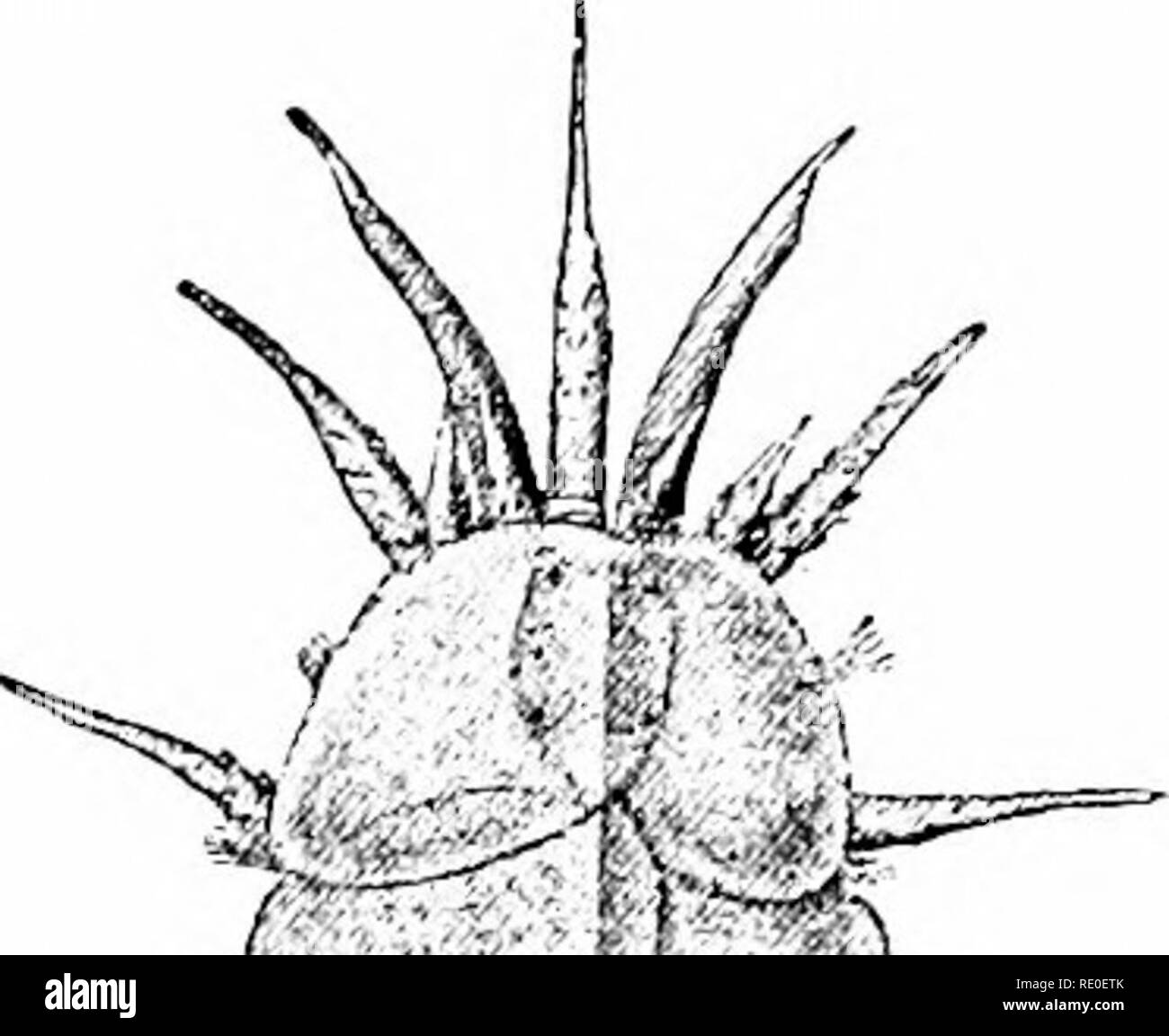 Sédentaria Black and White Stock Photos & Images - Alamy