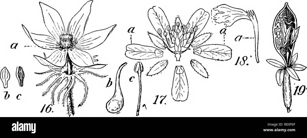 Petals in a circle Black and White Stock Photos & Images - Alamy