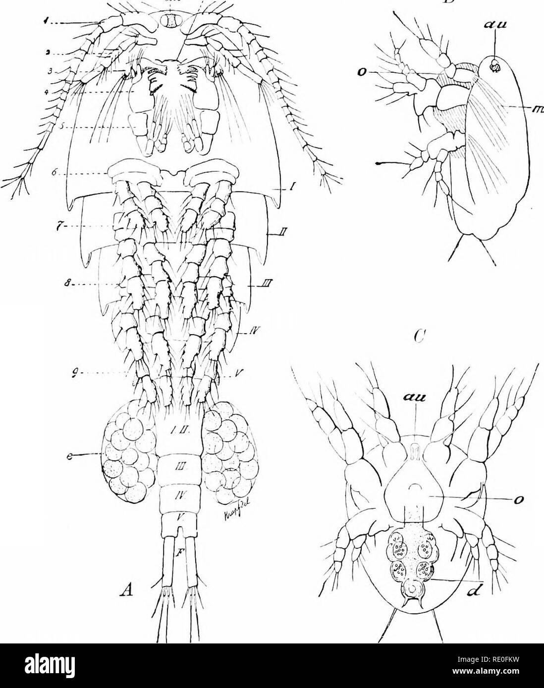 Furca pass Black and White Stock Photos & Images - Alamy