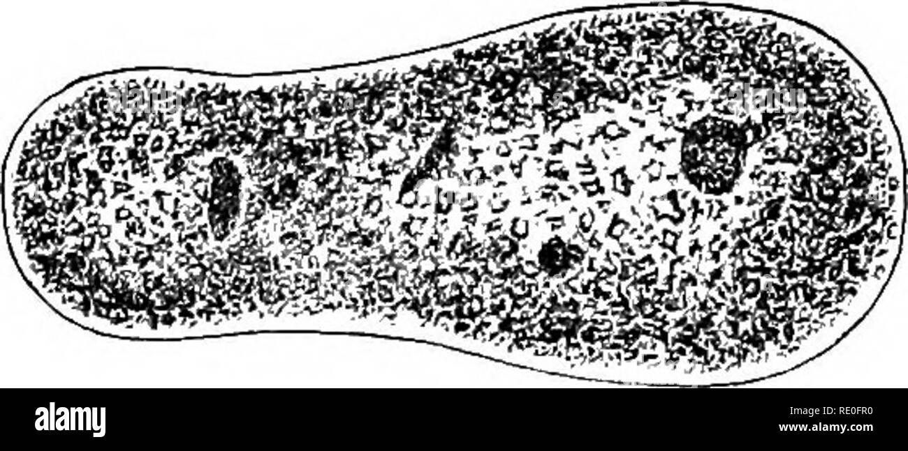 Droplet nuclei Black and White Stock Photos & Images - Alamy