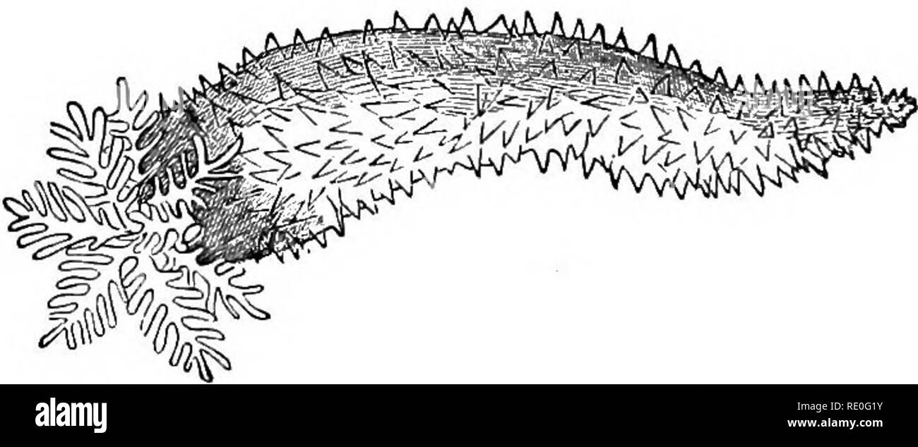 Mostly inconspicuous Black and White Stock Photos & Images - Alamy