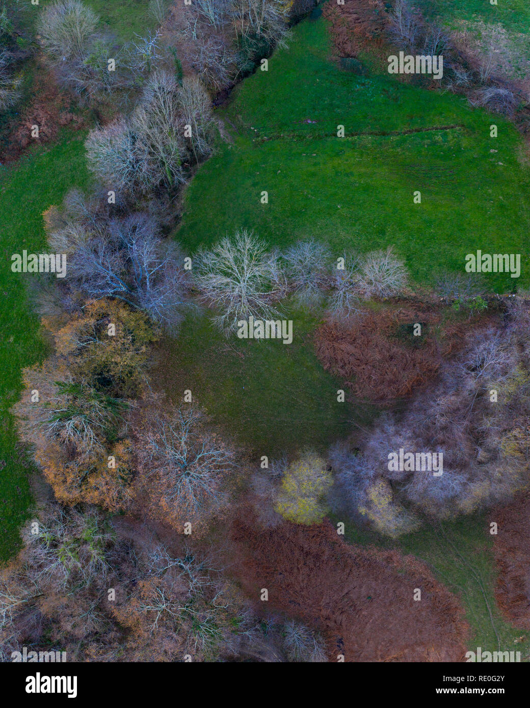 Landscape in Socueva, Arredondo Municipality, Cantabria, Spain, Europe ...