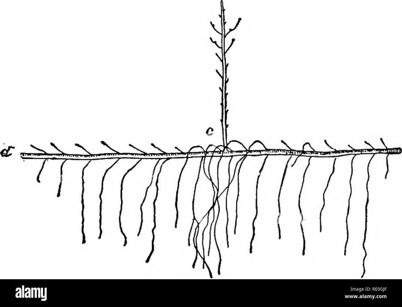 Above normal Cut Out Stock Images & Pictures - Alamy