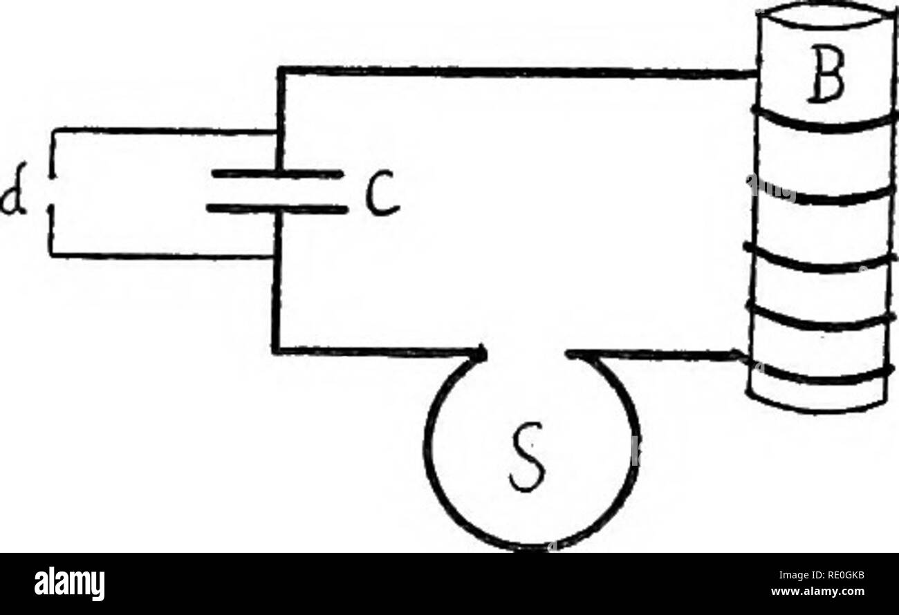 . Physical chemistry of vital phenomena, for students and investigators ...