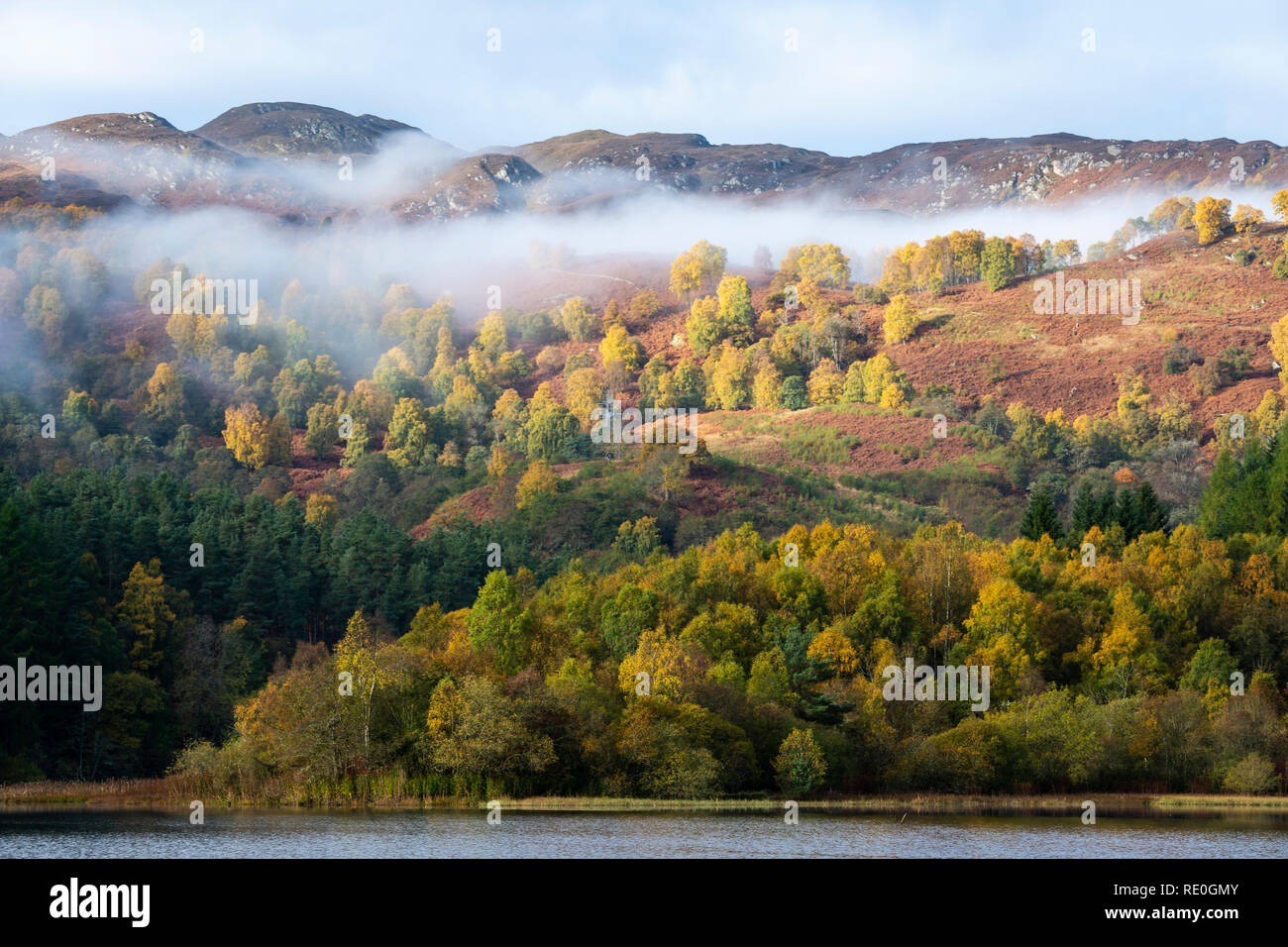 Mist shrouded autumn colours on Loch Faskally near Pitlochry ...