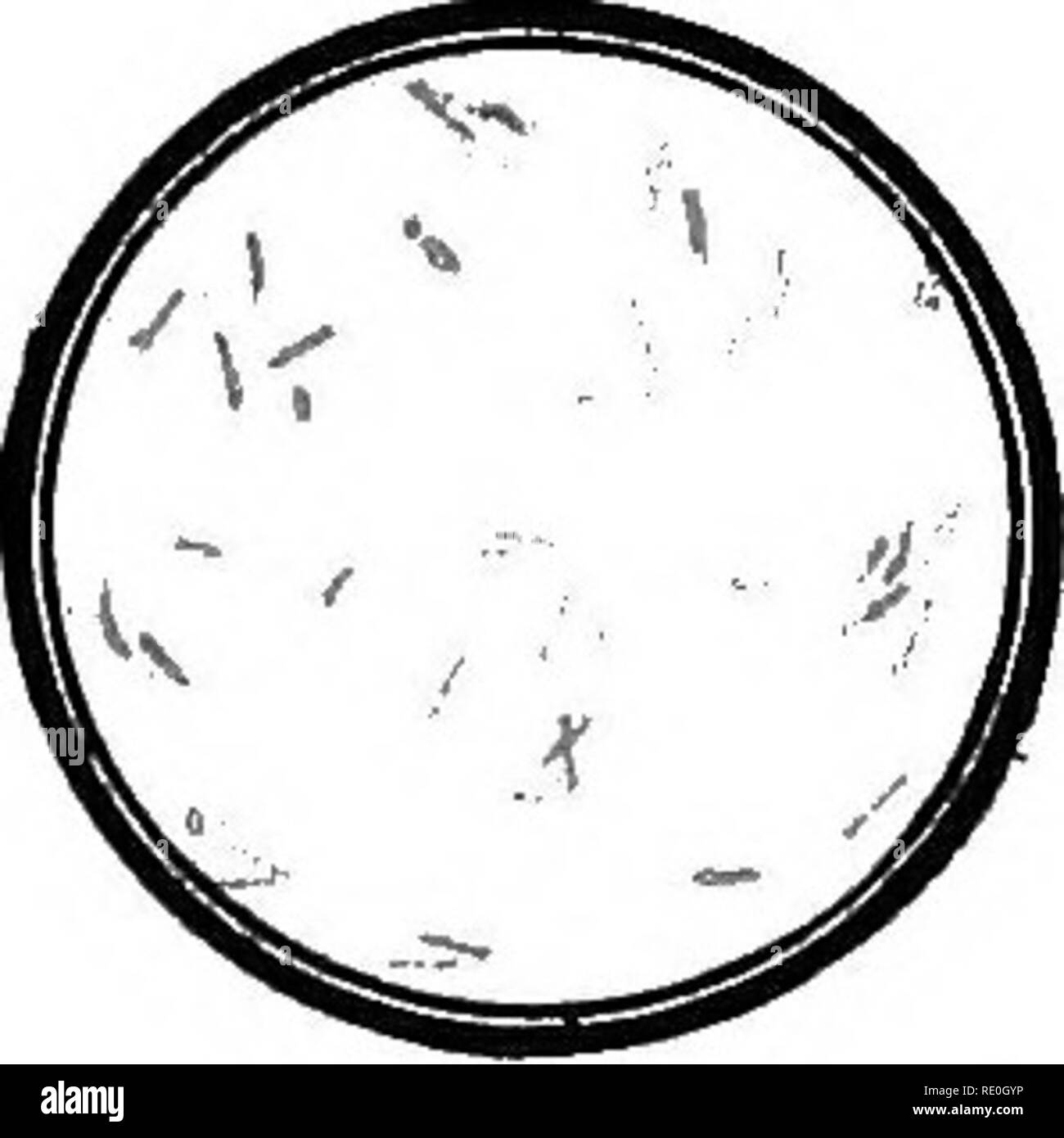 . Bacteriological methods in food and drugs laboratories : with an ...