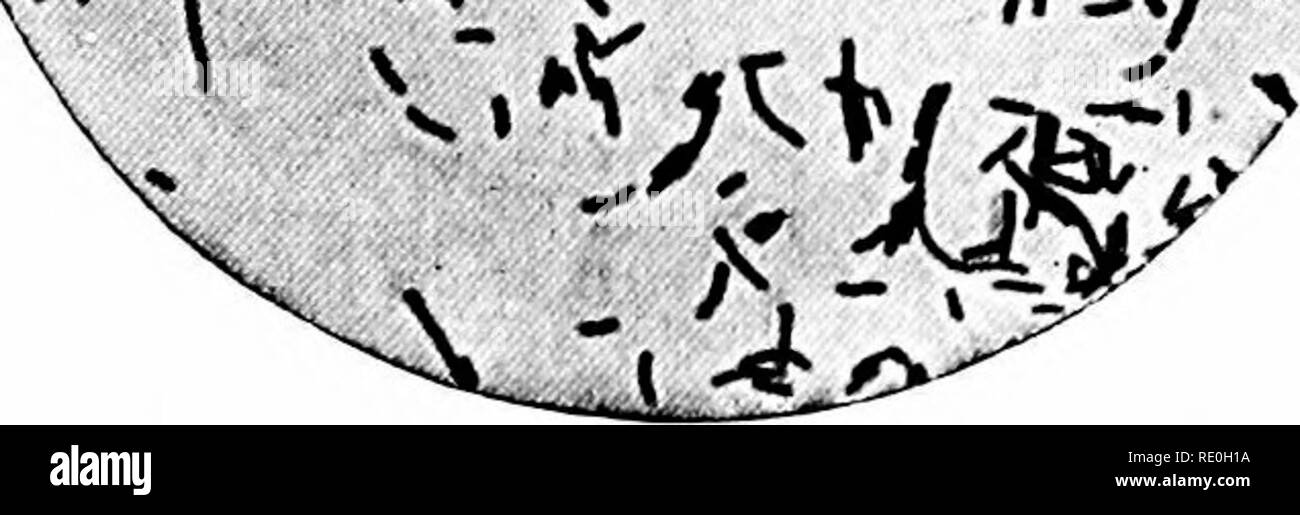 . Bacteriological methods in food and drugs laboratories : with an ...