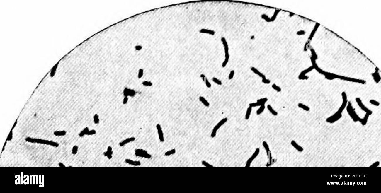 . Bacteriological methods in food and drugs laboratories : with an ...