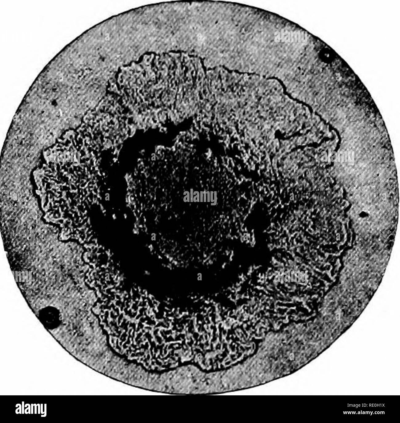 . Bacteriological methods in food and drugs laboratories : with an ...
